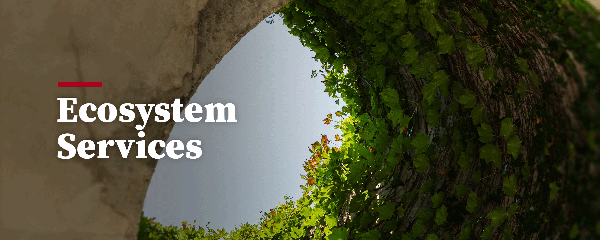 Increase Ecosystem Services | Facilities Operations and Development